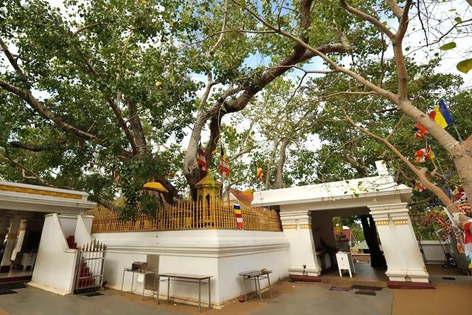 Anuradhapura Ancient City Tuk Tuk Tour - Who Should Consider This Tour?