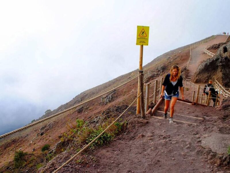 Archaeological Stroll in Pompeii and Adventure at Vesuvius - Who Will Love This Tour?
