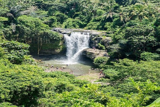 Bali Art Shopping and Culture Tour - What’s Included and What’s Not