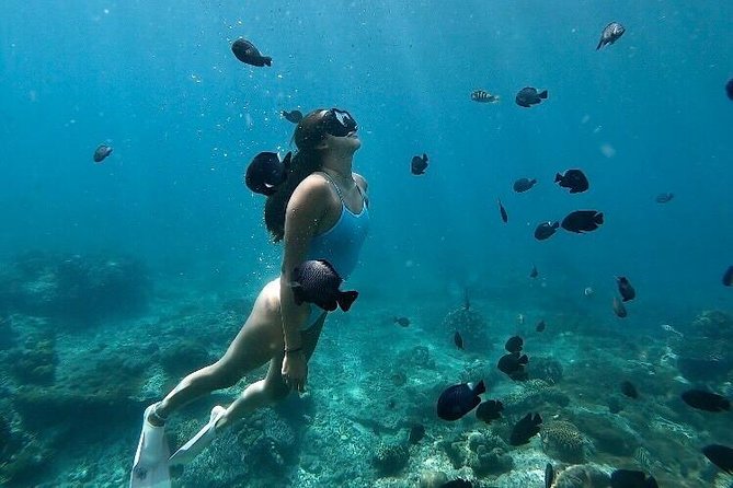 Bali Blue Lagoon Snorkeling with optional Tours and Activity - Final Thoughts: Is It Worth It?