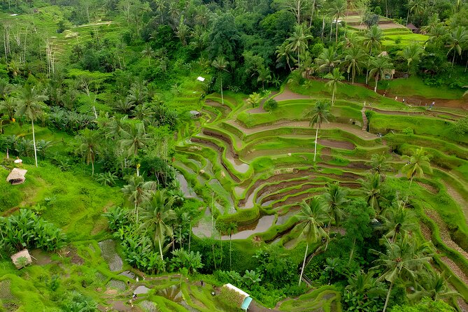Bali Car-Charter: Ubud Full Day Tour - Who Should Consider This Tour?