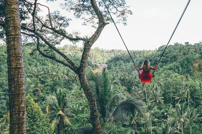 Bali Instagram Tour from Your Hotel (Private & Full-day) - Transport and Timing