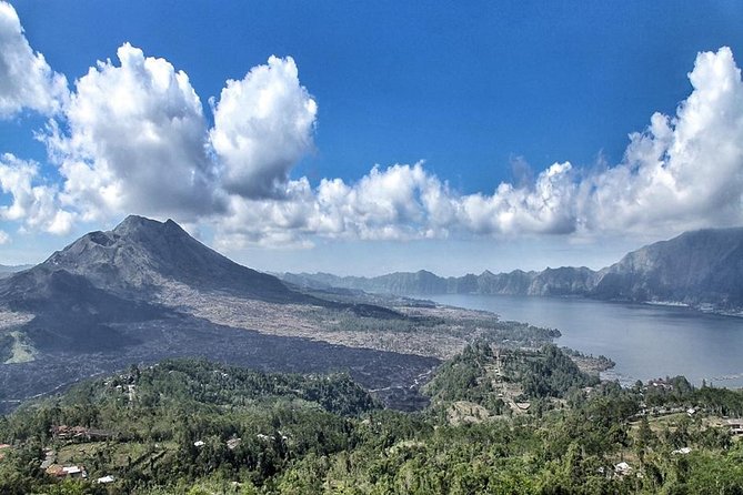 Bali Private Tour : Best Of Ubud & Volcano View With Jungle Swing - What Makes This Tour Special?