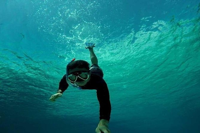 Bali Snorkeling Blue Lagoon and Tanjung Jepun All Included - What to Expect and What You Might Love