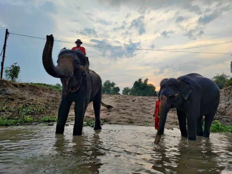 Bangkok: Private Trip to Ayutthaya Temples & Night Market - The Practical Details