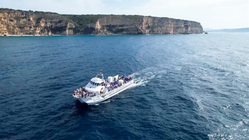 Barbate: Dolphin and Whale Watching in Cape Trafalgar - Who Would Love This Tour?