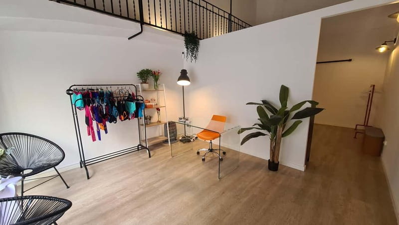 Barcelona: Pole Dancing Class - Who Will Love This Experience?
