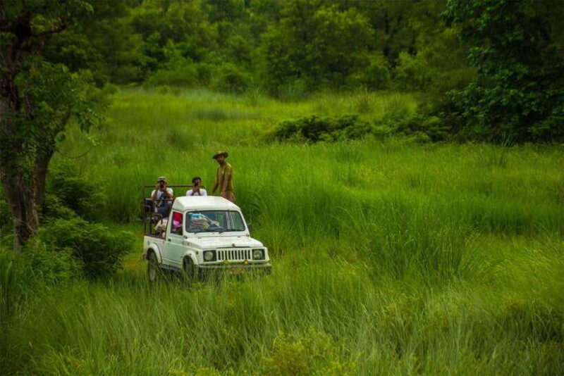 Bardiya National Park: Treehouse Stay with Wildlife Safari - Staying in the Treehouse: Comfort Meets Adventure