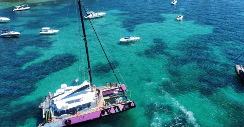 Bay of Quiberon or Morbihan gulf: Evening 2 hours navigation - What You Can Expect from This 2-Hour Sunset Cruise