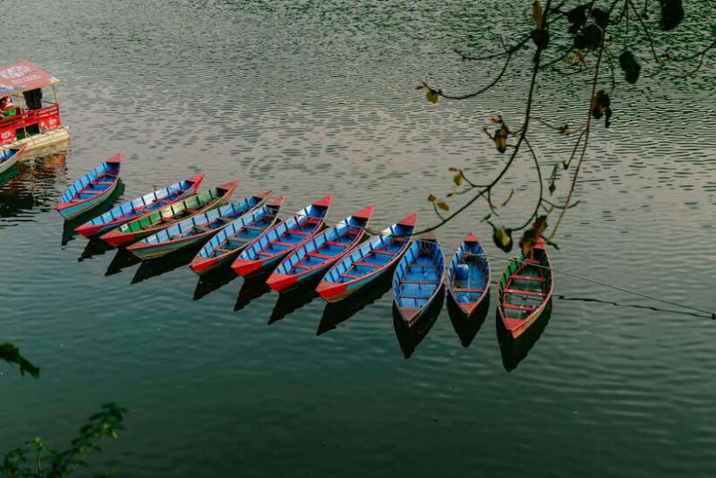 Begnas Lake Freshwater Fish Hunt & Culinary Experience - Who Would Love This Tour?