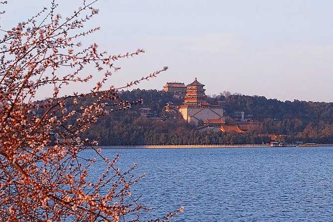 Beijing Downtown Hotel To Beijing Capital Airport one way private transfer - The Detailed Experience: What to Expect