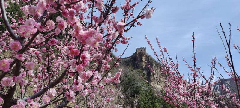 Beijing Small Group Tour Covering 3 Section Great walls - Deep Dive: Why This Tour Offers Good Value