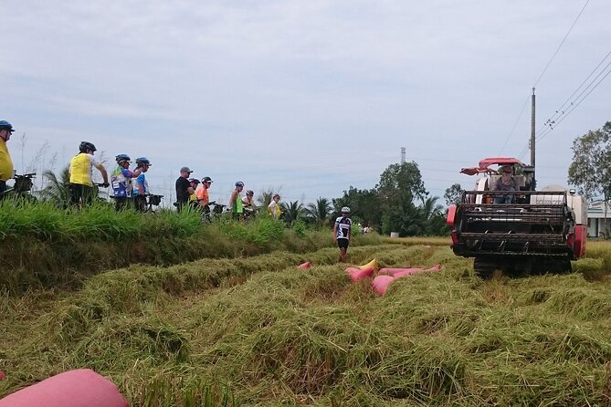 Best mekong delta bike tour - Day 2: From Cai Rang to Riverside Charm
