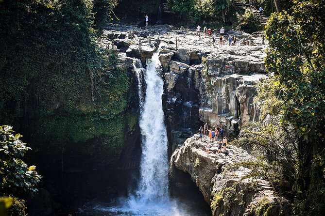 Best of Bali : Bali Temples , Rice Terrace and Waterfall Tour - Who Should Book This Tour?