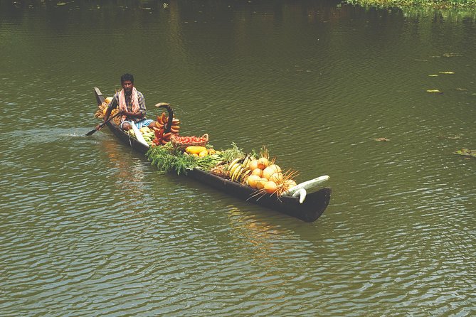 Best of Kerala Tour Package 7 nights / 8 days by Sanguine Holidays - Detailed Breakdown of the Itinerary
