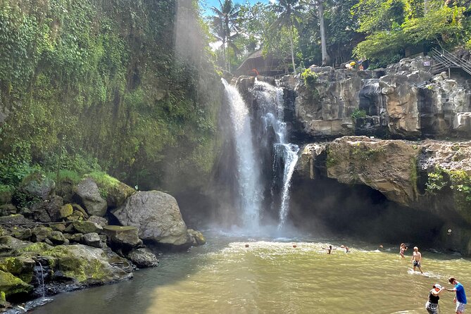 Best Of Ubud Half Day Private Guided Tour - What Does the Tour Offer for Your Money?