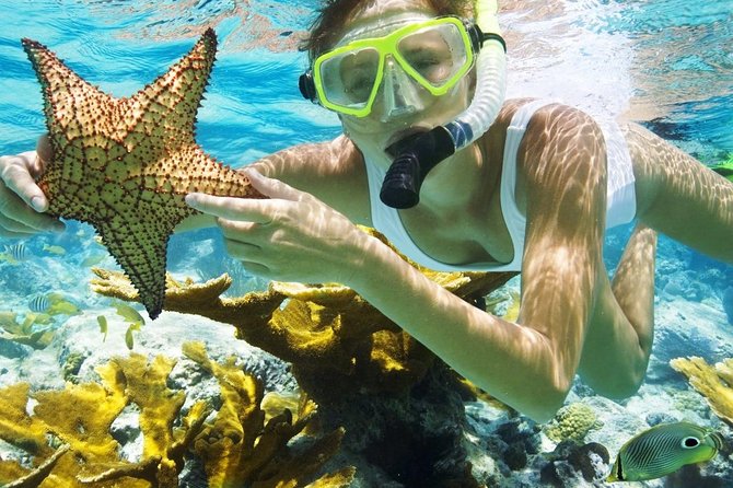 Best Snorkeling Trip at Blue Lagoon Bali - The Balance of Experience and Realities