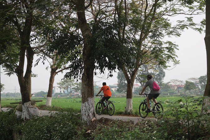 Bicycle Tour Full Day Explore Red River Delta & Rural Villages - The Sum Up: Who Is This Tour Best For?