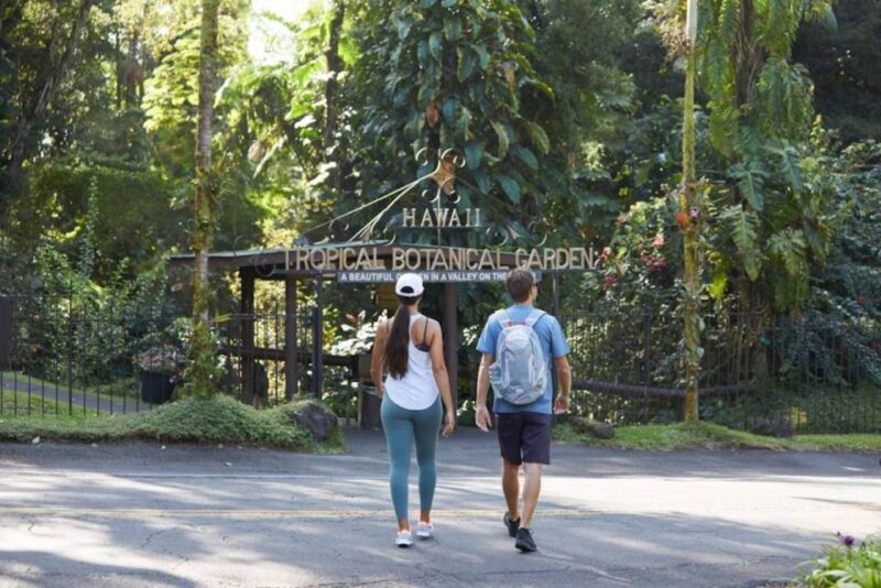 Big Island: Full-Day Sightseeing & Waterfalls Adventure Tour - An In-Depth Look at the Tour Itinerary
