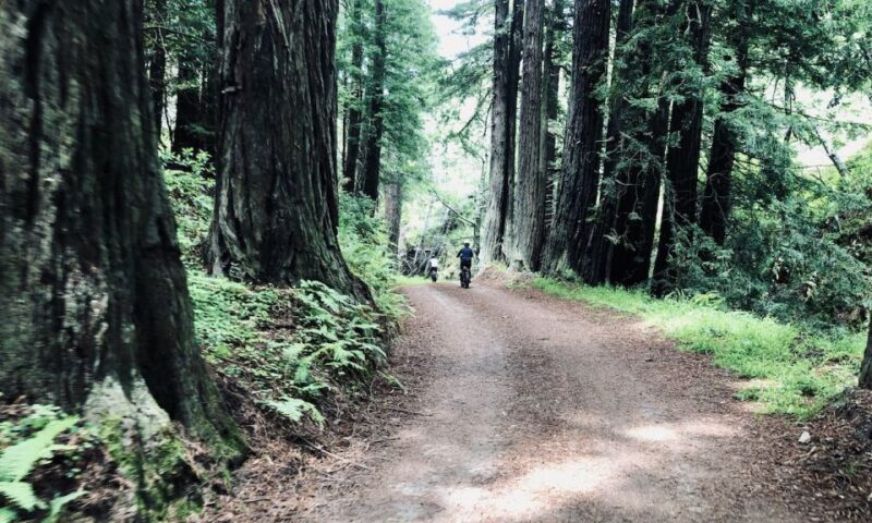 Big Sur's Old Coast Road E-Bike Tour - Final Thoughts: Is It Worth It?