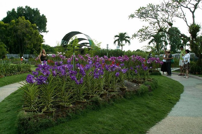Bird Park & Butterfly Farm Nature Include All Entrance Tour From Kuala Lumpur - Authentic Feedback from Past Travelers