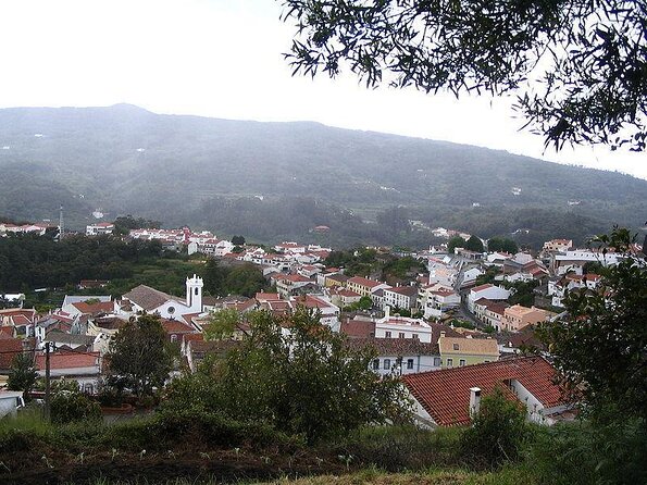 Birdwatching day in the Monchique hills - Why This Tour Is Worth It