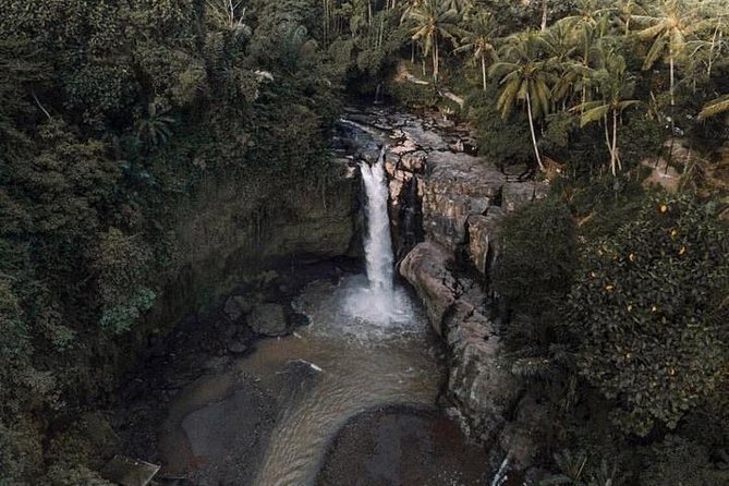 Blue Lagoon Snorkeling and Lunch with Visit Tegenungn Waterfall in Ubud - Who Should Consider This Tour?