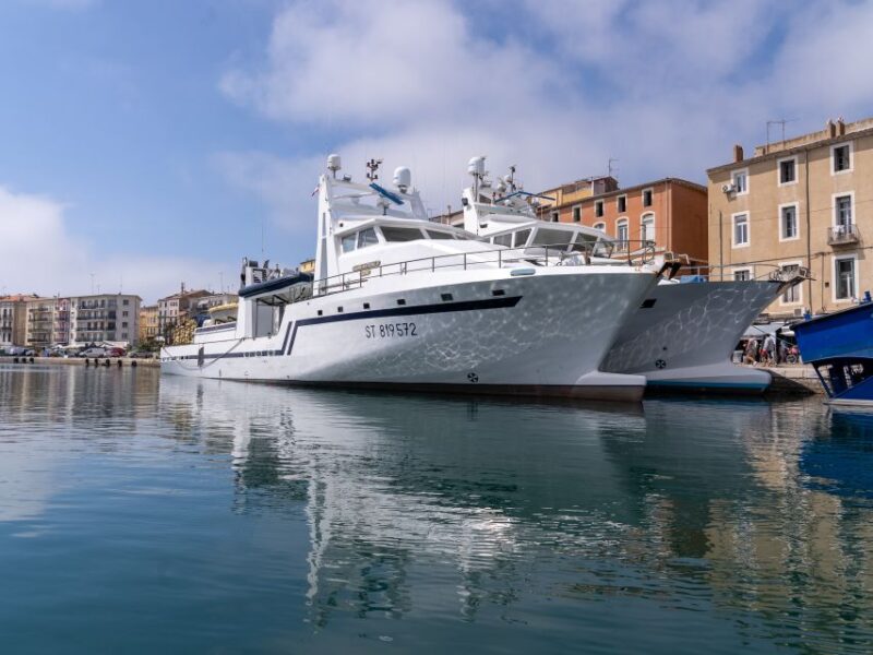Boat walk in Sete on the singular island 1 hour - The Itinerary: What to Expect