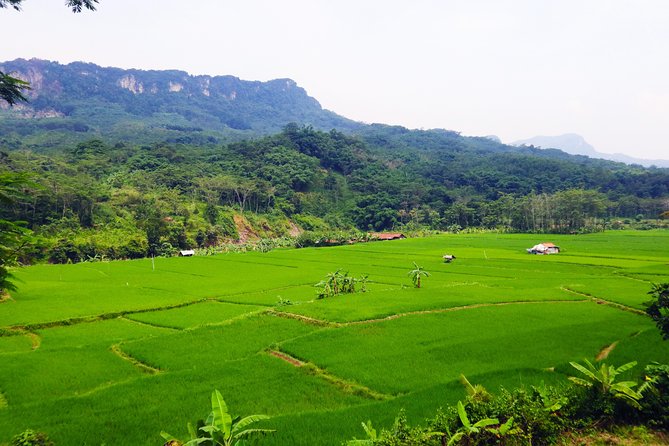 Bogor Botanical Garden & Rainforest Trekking to Hidden Waterfall - The Iconic Kebun Raya Bogor