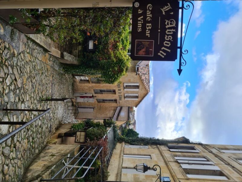 Bordeaux Full Day Wine Tour - 3 Wineries & Picnic Lunch - A Deep Dive into the Bordeaux Wine Experience