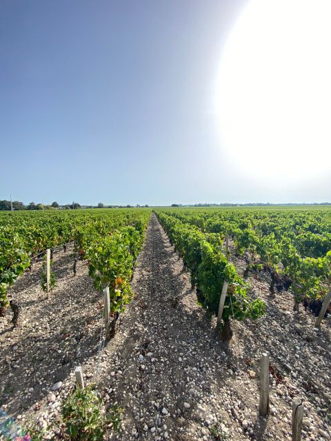 Bordeaux: Saint Emilion Village with Chateaus & Wine Tasting - What We Loved & What to Consider