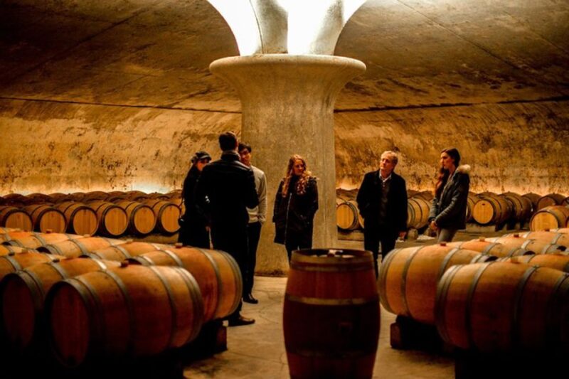 Bordeaux: St-Emilion and Medoc Wine Day Tour with Lunch - The Day in Detail: What to Expect