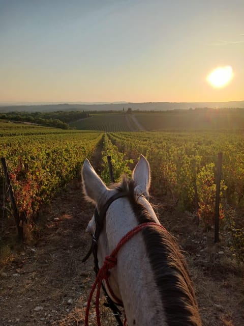 Borgo Cignano: Waiting for the sunset - Why This Tour Is a Good Fit