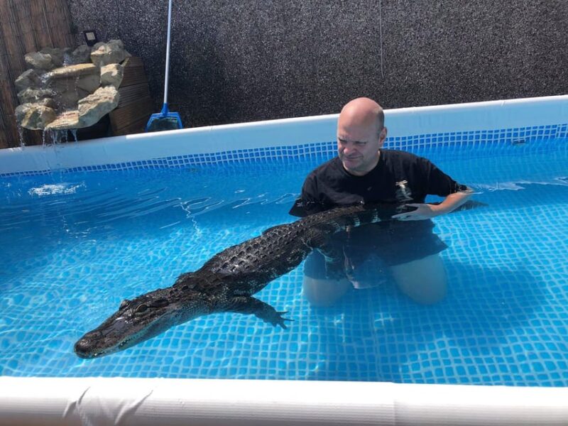 Bristol: Swimming with Crocodiles and Lunch x4 - The Photo and Lunch Breaks