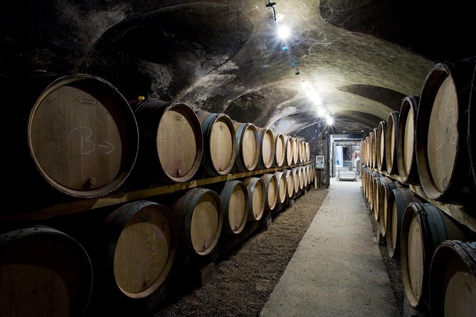 BURGUNDY : Unique Wine Tour from PARIS (Day-trip by TGV - High-speed train) - Who Will Love This Tour?