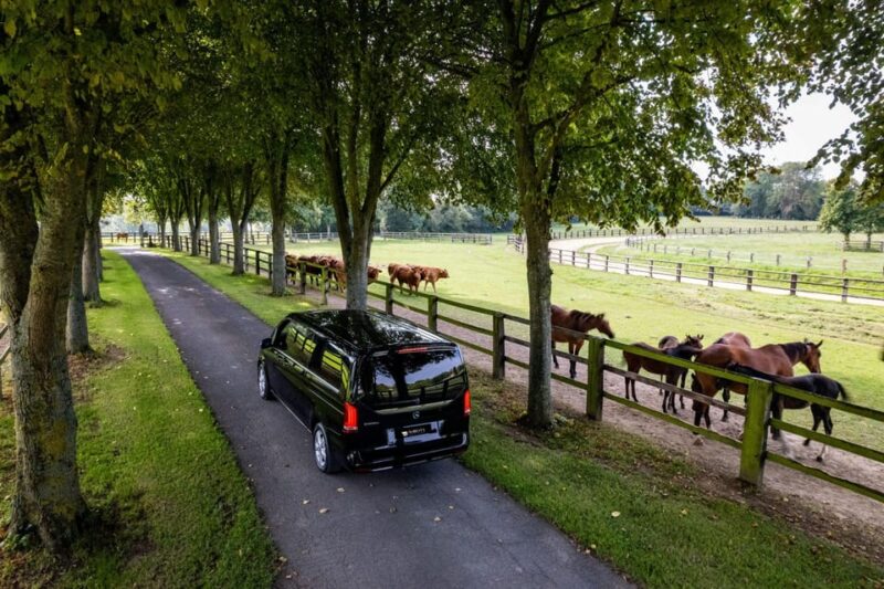 Caen: Guided Tour of Caen and Bayeux - What to Expect: Experience and Practicalities