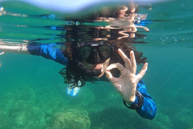 Cala Gonone Snorkeling in the Orosei Gulf - Who Should Consider This Tour?
