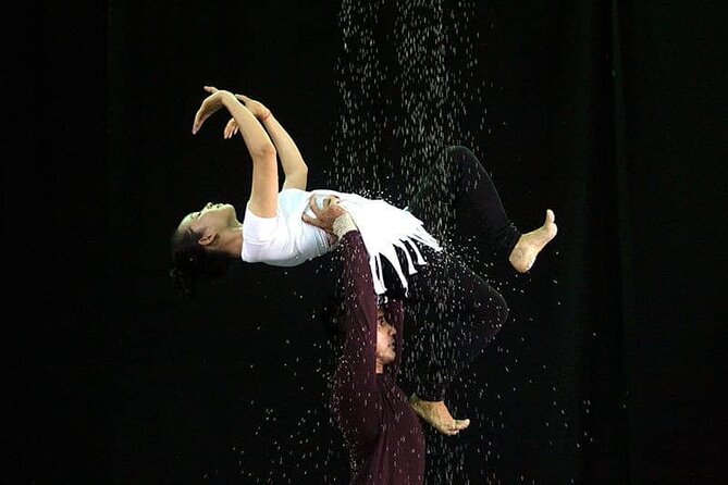 Cambodian Circus Show in Siem Reap by Phare with Hotel Pick-Up - The Experience: What to Expect from the Tour