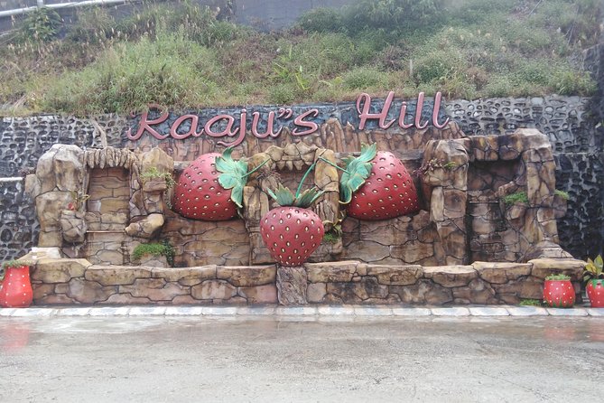 Cameron Highland Private Day Tour - The Itinerary: A Closer Look at What You’ll See and Do