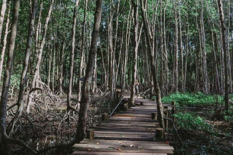 Can Gio Mangrove, Thanh An Island, Vung Tau City 2 Days Tour - How the Itinerary Is Structured for Value