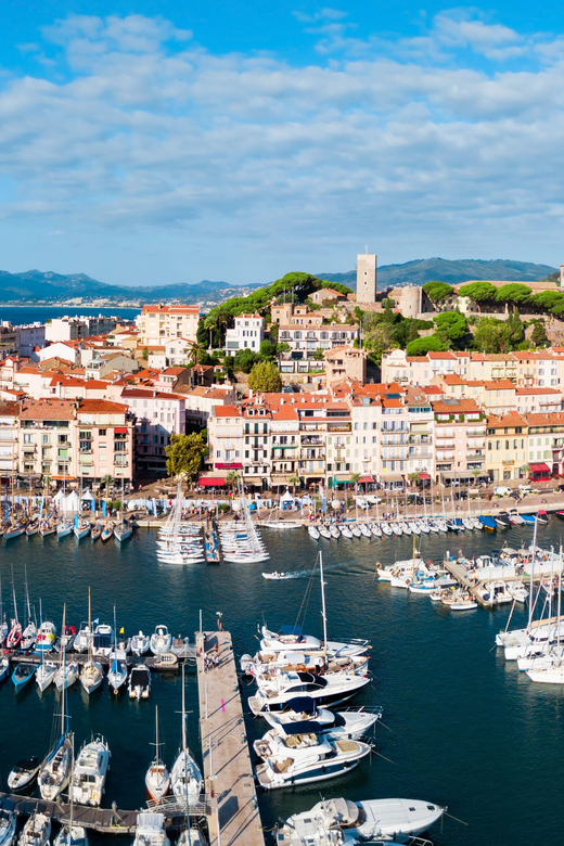 Cannes : Traditional Food Group Walking Tour - The Value and Practicalities