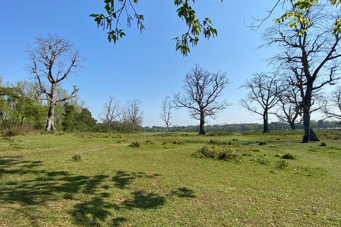 Canoeing and Nature Walk in Chitwan National Park - Who Should Book This Tour?