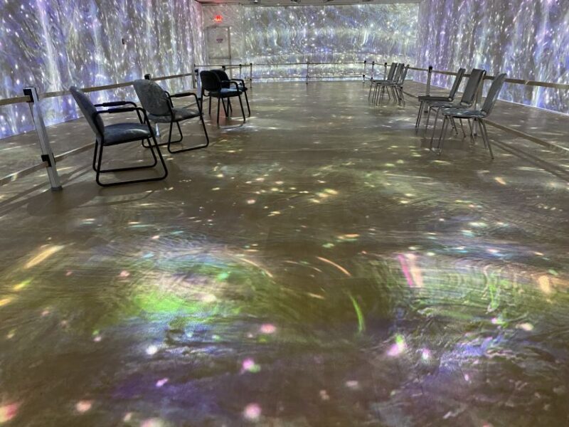 Cape Canaveral: Wizard of Oz Museum Entry Ticket - Final Thoughts: Who Is This Experience Best For?