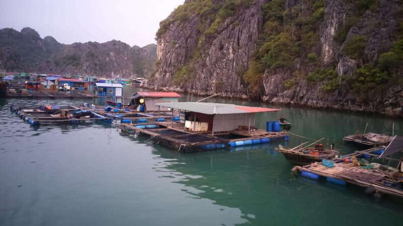 Cat Ba Island: Full-Day Cruise to Lan Ha Bay and Ha Long Bay - The Detailed Itinerary and What to Expect