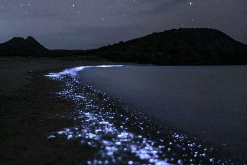 Cat Ba : Lan Ha Bay Bioluminescent Plankton Kayak Boat Tour - The Value and Practicalities