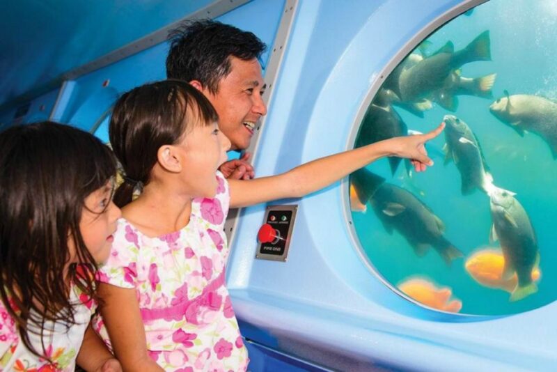 Catalina Island: Yellow Semi-Submarine Cruise - The Experience Itself: A Closer Look