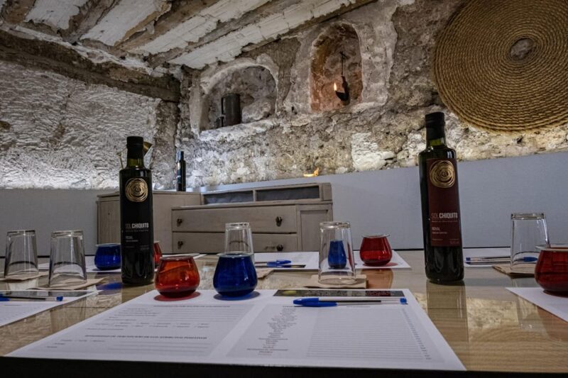 Cazorla: Olive grove and mill tour - The Experience in Detail