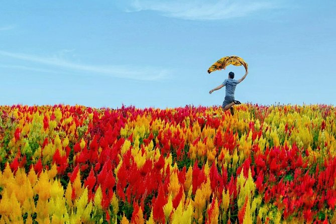 Cebu: Private Twin City Tour +Temple of Leah + Sirao Flower Farm - The Practical Side: Transportation, Timing, & Value