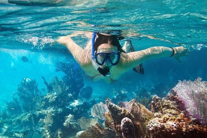 Cham Island Tour Snorkeling -Sunbathing - Nice Beach - Speedboat - The Experience: What Travelers Really Say