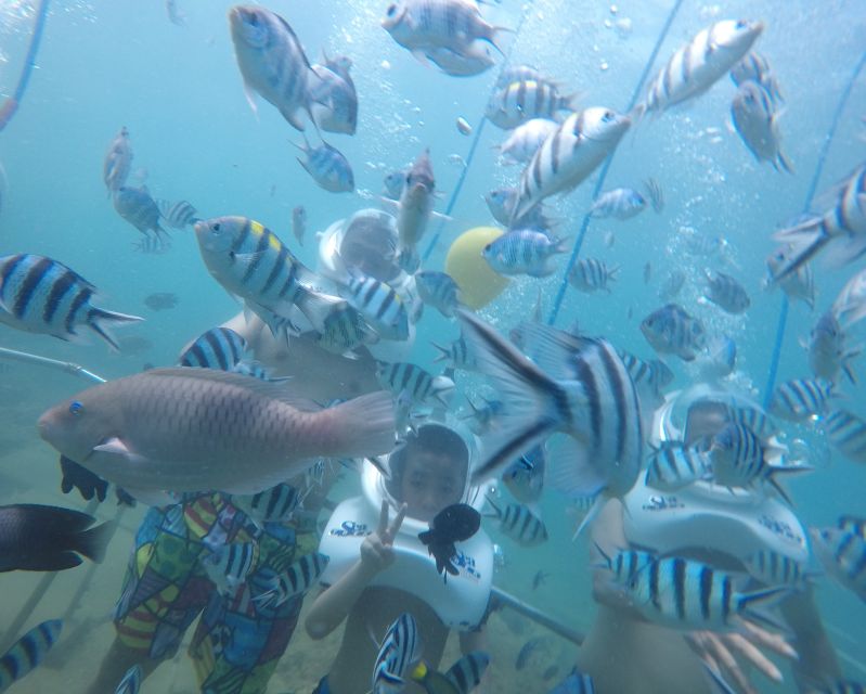 Cham Island: Underwater Walking & Snorkeling Tour - Who Would Love This Tour?
